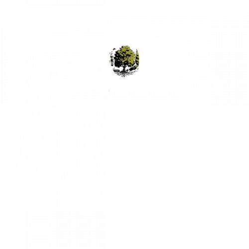 - The Placemakers Academy